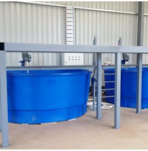 Agitated Vessels | Polymaster Group