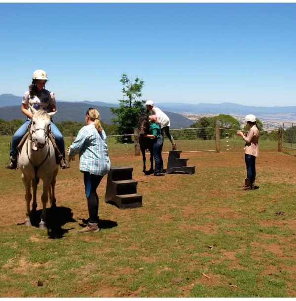 Mounting Block Horse Step - Polymaster